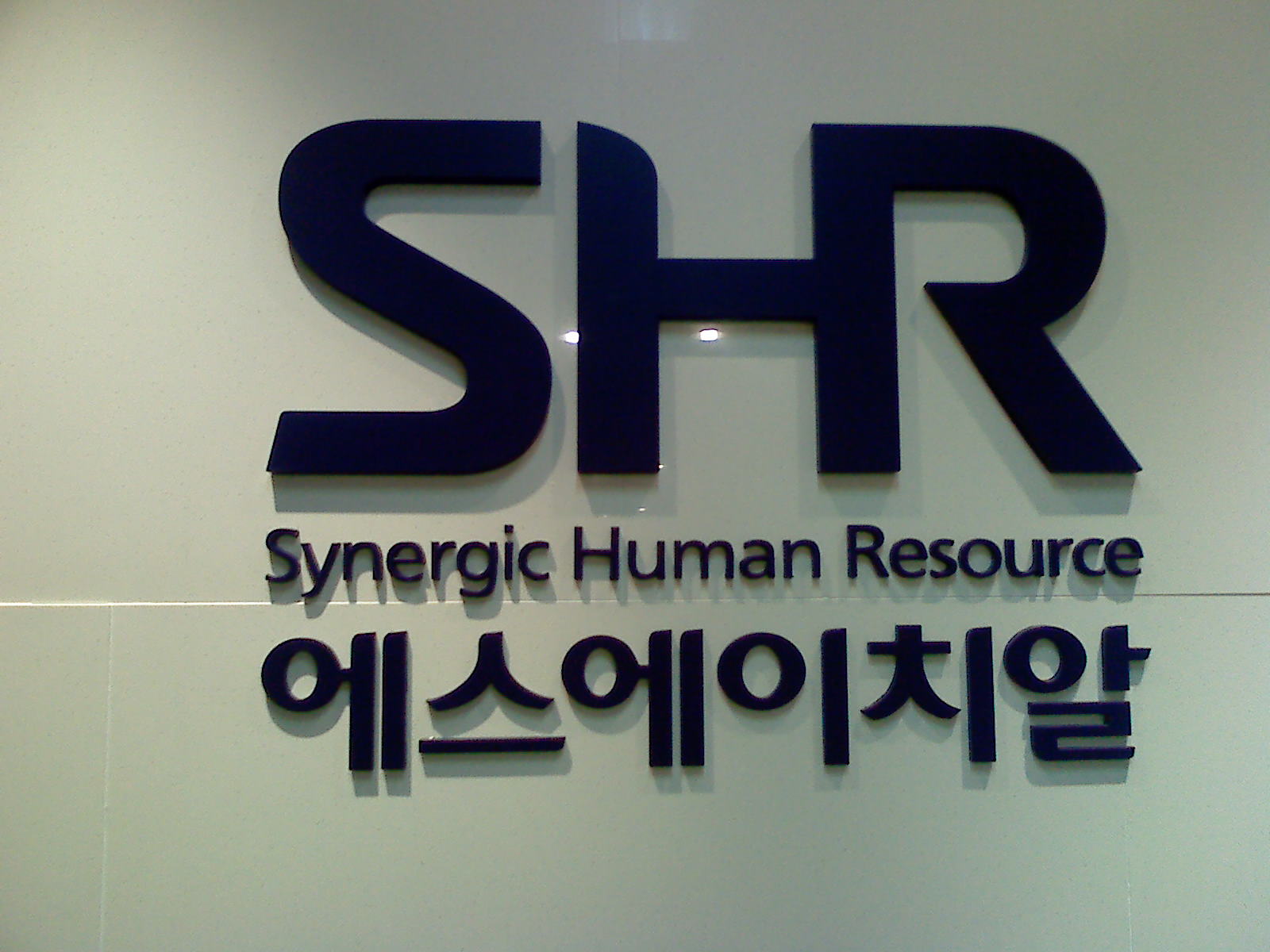 2025년 ㈜SHR 채용 기업정보 | 인크루트